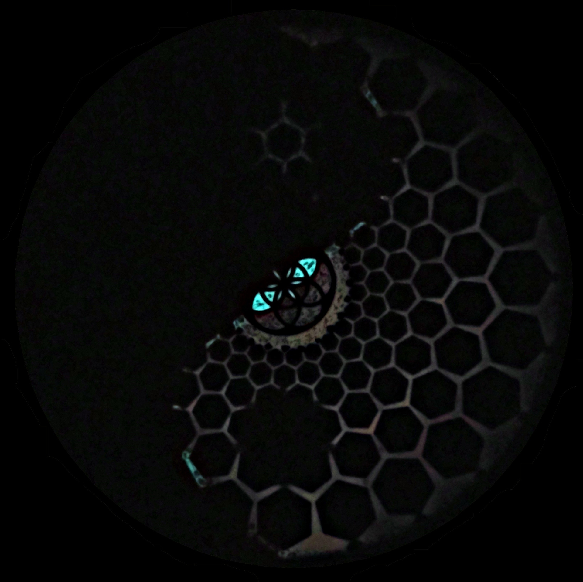 FLOW DISC ÚPRAVY :: Centrumserafin